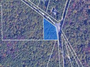 Long Beach Island News | Mancini Realty